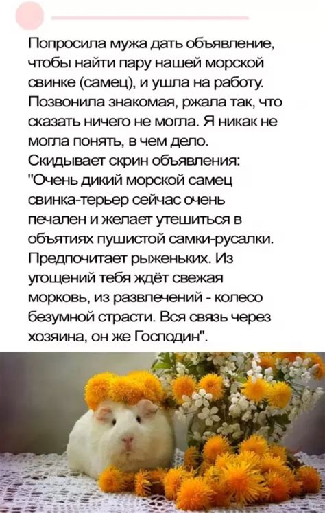 Смешная картинка №733514 Прикол мем про Животные