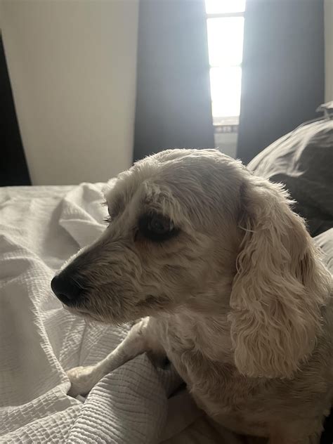 Wave Potential R 360waves