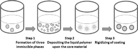 Schematic Representation Of The Different Stages Of The Download