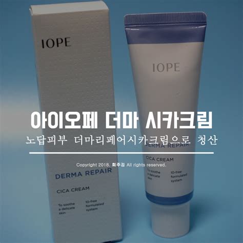 아이오페 더마 리페어 시카크림 으로 환절기 노답피부 개선한 솔직후기 네이버 블로그