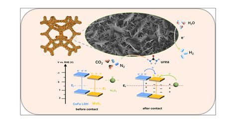 Cofe Layered Double Hydroxide Needles On Mos2ni3s2 Nanoarrays For