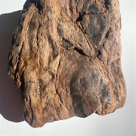 Opal Fossil Etsy