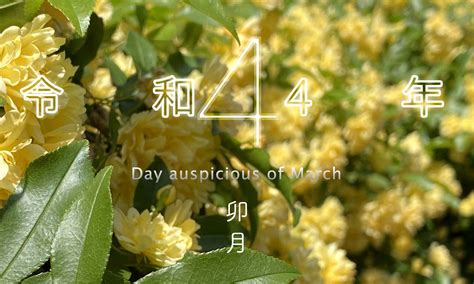 2022年令和4年4月の暦お日取り縁起のいい日良くない日iOS Calendar Blog