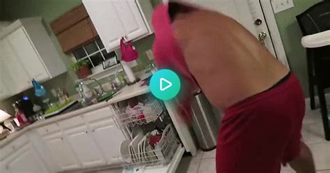 Everybody Gangsta Until The Cockroach Starts Flying  On Imgur