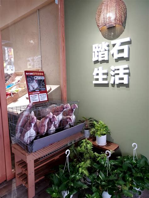 台灣動物社會研究會 動物盟友再＋1 ️ 開幕不久但非常認真的「踏石生活」從二月開始為期一個月的