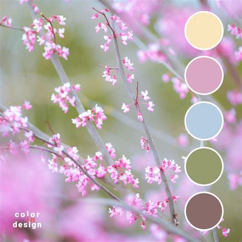 Сочетание цветов оливковый бананомания орхидея голубой Цветовой баланс Летние цветовые