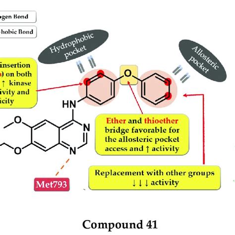 Structure Activity Relationship And Molecular Docking Of Compound 5 In