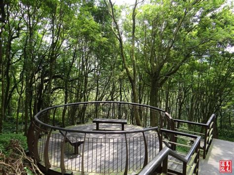 竹子湖青楓步道 健行筆記