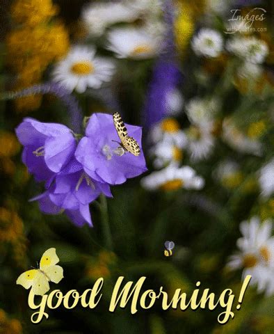 50 Summer Morning Images With Quotes For Friends ☀️🌻