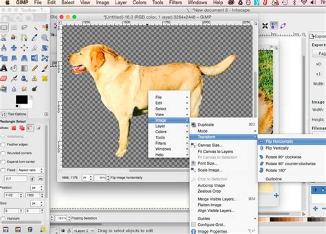 Create Amazing Sprites With Phaser
