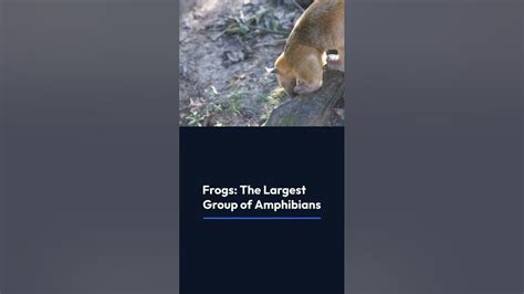 Fivtech Information Technology Youtube