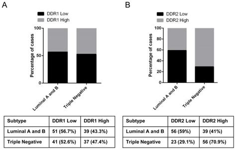 Tyrosine Kinase Discoidin Domain Receptors Ddr1 And Ddr2 Are Coordinately Deregulated In Triple
