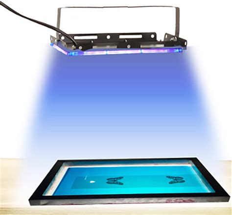 Buy Dorhui Exposure Unit For Screen Printing 25w Led Uv Screen Printing Exposure Light For