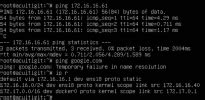 Unable To Ping Google Com Proxmox Support Forum