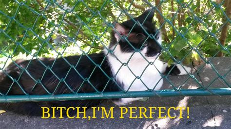 Like A Boss 030 By Heroxd On Deviantart