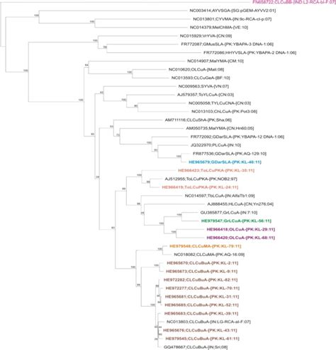 Phylogenetic Dendrogram Based On An Alignment Of The Complete Download Scientific Diagram