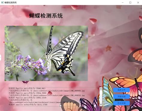 改进yolov7算法蝴蝶识别检测源码教程yolov7的c3c2 Csdn博客