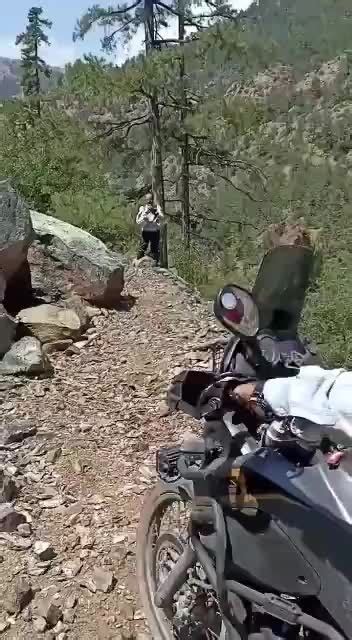 Gone Meme By Schizoidman Memedroid