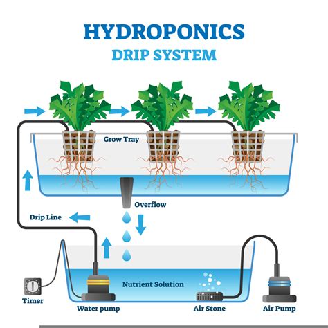 Hydroponic System How To Choose The Ideal System For You Rise Hydroponics