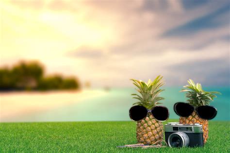 여름 개념 열 대 과일 파인애플 카메라 여행 액세서리 비치 오션 뷰 배경 포함 Copyspace 텍스트 또는 그래픽 추가 개인 장식품에 대한 스톡 사진 및 기타 이미지