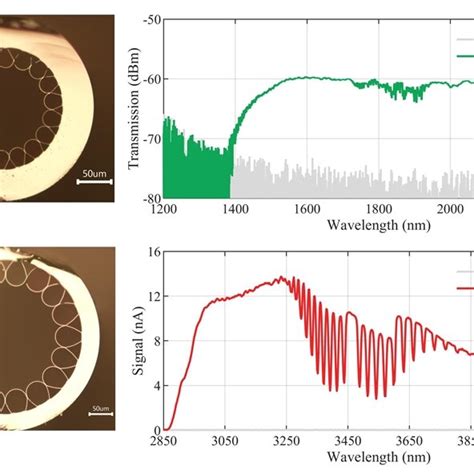 Pdf Low Loss Multi Mode Anti Resonant Hollow Core Fibers