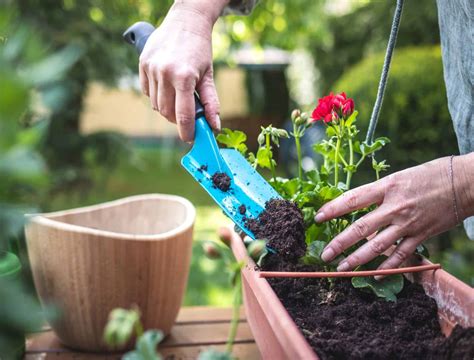 When And How To Add Compost To Perennial Garden Beds Backyard Boss
