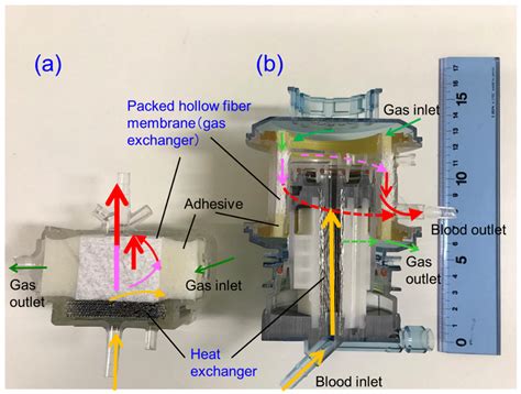 Newly Developed Pediatric Membrane Oxygenator That Suppresses Excessive