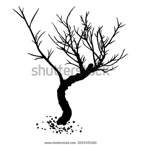 Naked Tree Silhouette Hand Drawn Isolated Stock Vector Royalty Free
