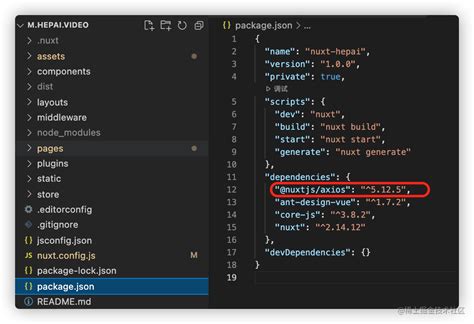 The Nuxtjs Server Renders The Configuration Of Axiosnuxtjsaxios And Proxy Proxies Moment