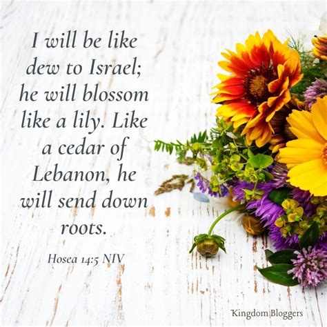 Flower Pictures With Scripture Verses Best Flower Site
