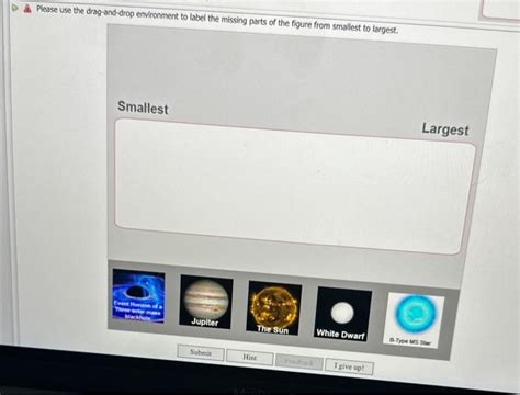 Solved A Please Use The Drag And Drop Environment To Label Chegg Com