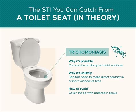 The Truth About Stds Stis And Toilet Seats Everlywell