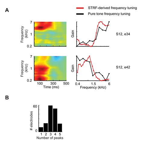 Pdf Reconstructing Speech From Human Auditory Cortex