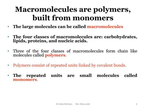 Ppt Chapter 5 The Structure And Function Of Large Biological Molecules Powerpoint Presentation