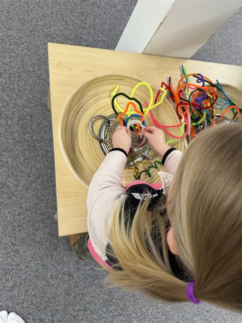 Practicum 1 2 Ece Year One Practicum