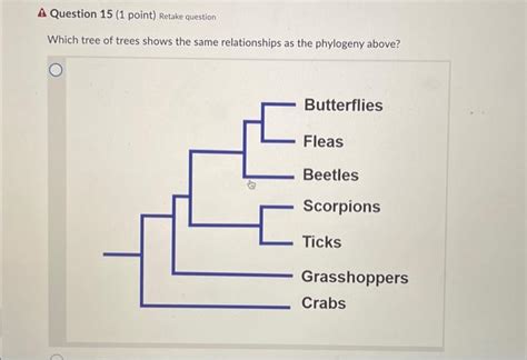 Solved Use The Phylogeny Below To Answer The Questions In