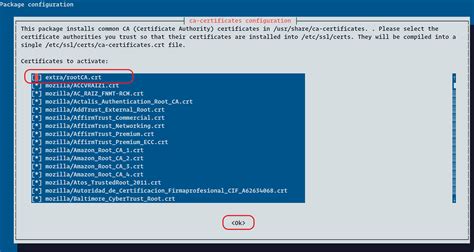 How To Install Root Or CA Certificate In Ubuntu Dalwar Hossain