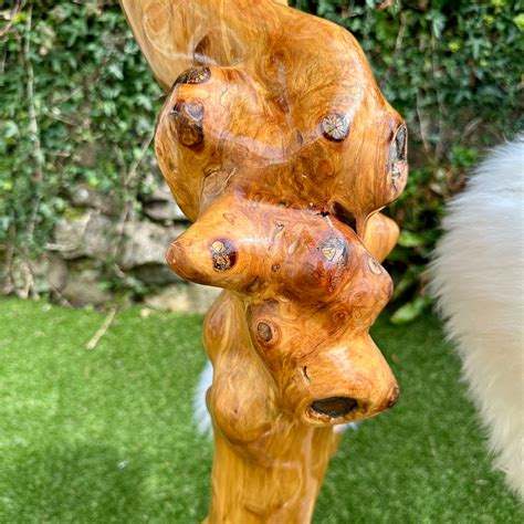 Applewood Cat Tree Naturally Sustainable