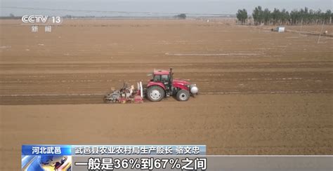 河北武邑万亩高油酸花生播种 机械化助农增收 种植 武邑县 面积