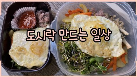 Koreng Vlog 도시락 만드는 일상 냉털비빔밥다이어트 도시락 간단 도시락 Youtube