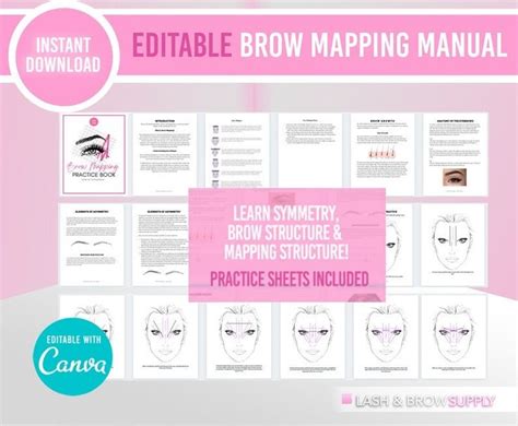 Editable Microblading Manual Brow Mapping Guide Microblading Practice Pmu Mapping Practice