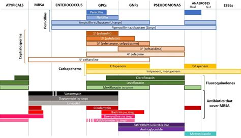 Antibiotic Spectrum Of Activity Chart