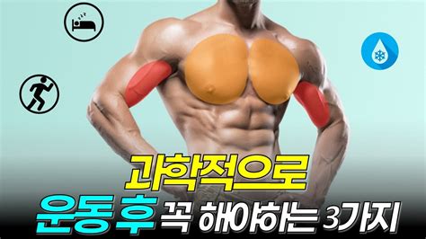 운동을 했는데도🤔 근육이 안생기고 체지방이 안빠진다면 이걸 꼭 하셔야 합니다 Youtube