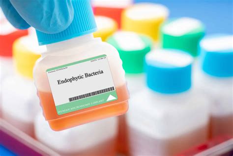 Hidden Allies Unveiling The Power Of Endophytic Bacteria In Plant