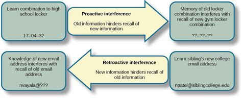 Chapter 6 Memory In Context Essentials Of Cognitive Psychology