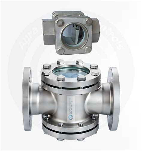 Double Window Sight Glass With Flapper Ayra Process Controls