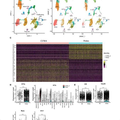 Single Cell RNA Sequencing Single Cell RNA Sequencing ScRNA Seq Download Scientific