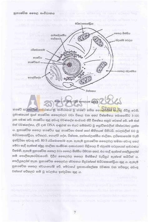 Sft තාක්ෂණවේදය සඳහා විද්‍යාව ජීව විද්‍යාව පරිශීලන ග්‍රන්ථය Nie Al Kuppiya Store