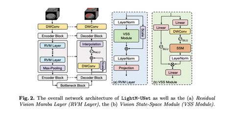 This Ai Paper Introduces The Lightweight Mamba Unet Lightm Unet That
