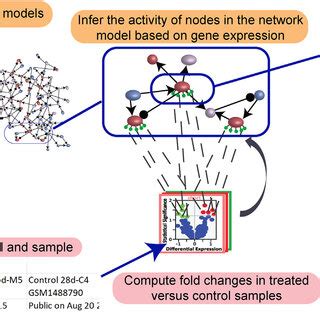 Publicly Available Transcriptomics Data Sets Used In The Meta Analysis Download Scientific